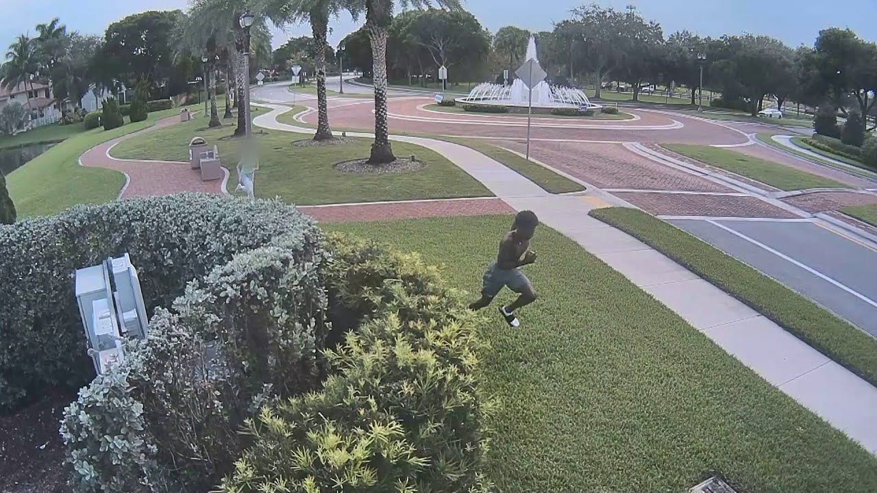 Surveillance video shows man running off after snatching iPhone - THE ...