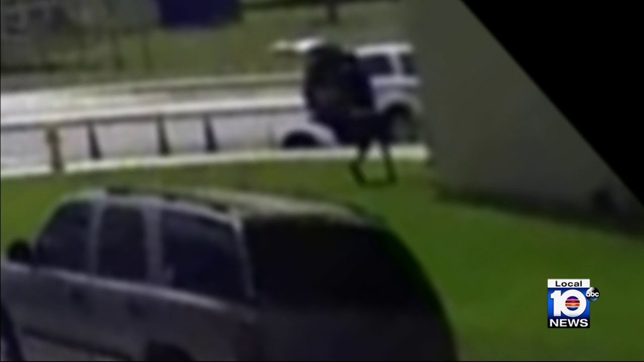 Surveillance video captures Goulds shooting - THE MIAMI METROPOLIS