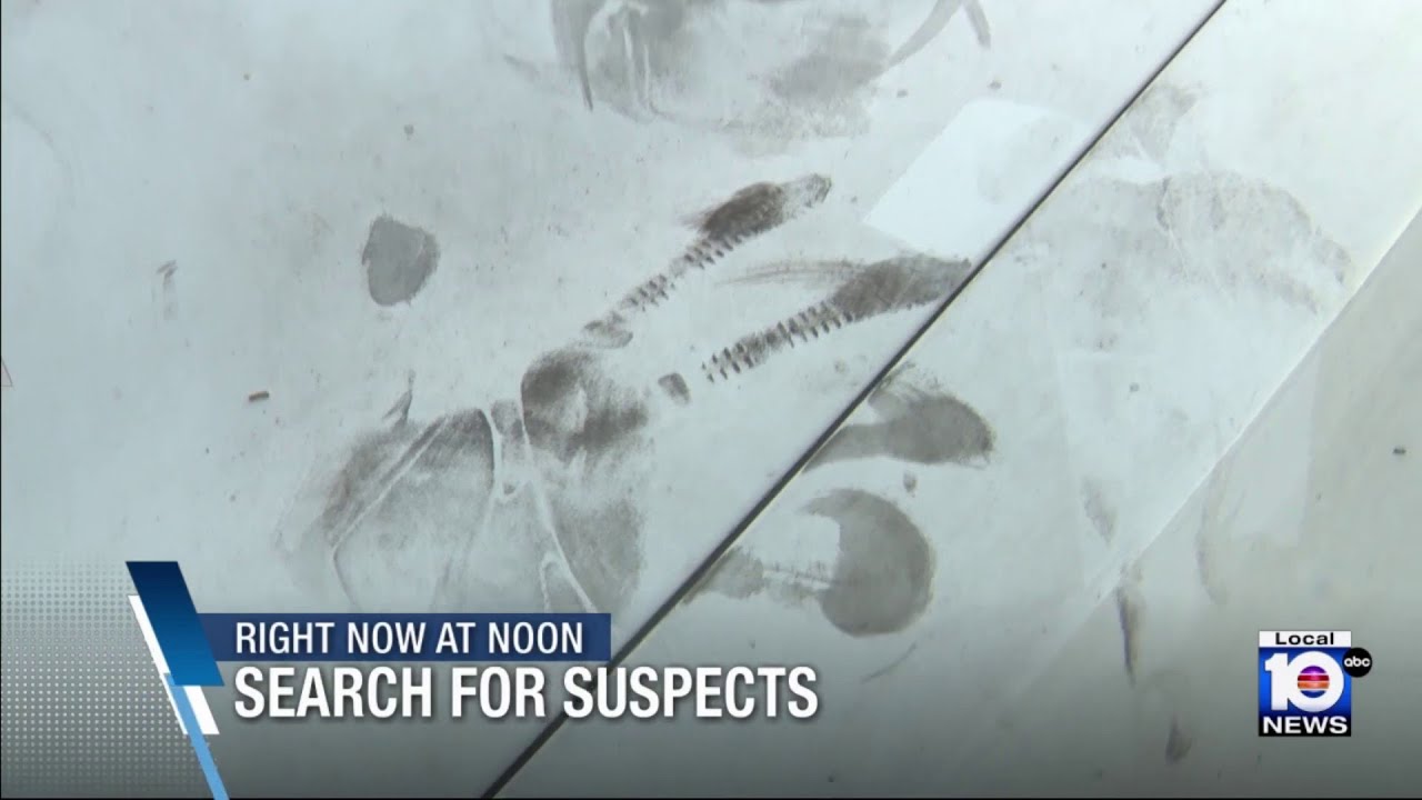 Vandals target police car in Pembroke Park - THE MIAMI METROPOLIS