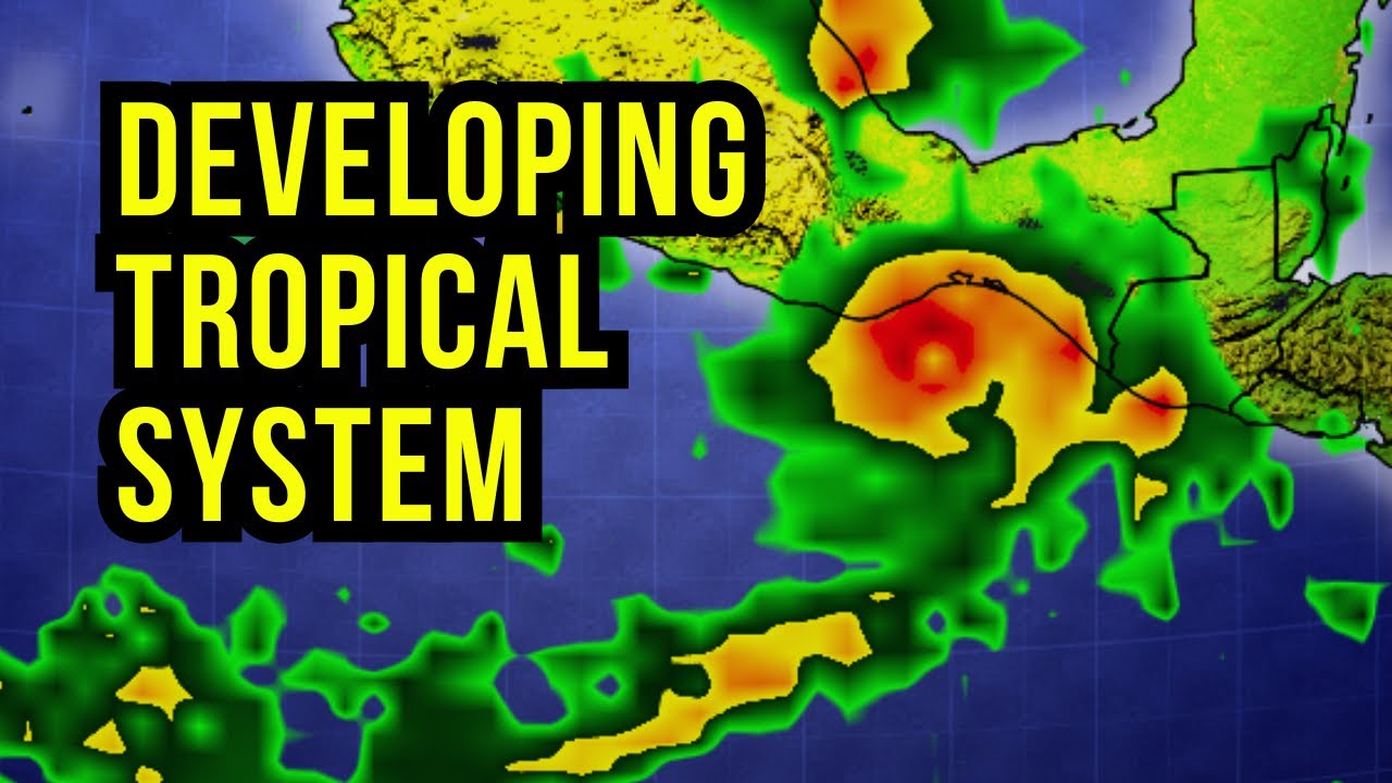 New Tropical System Forming... - THE MIAMI METROPOLIS