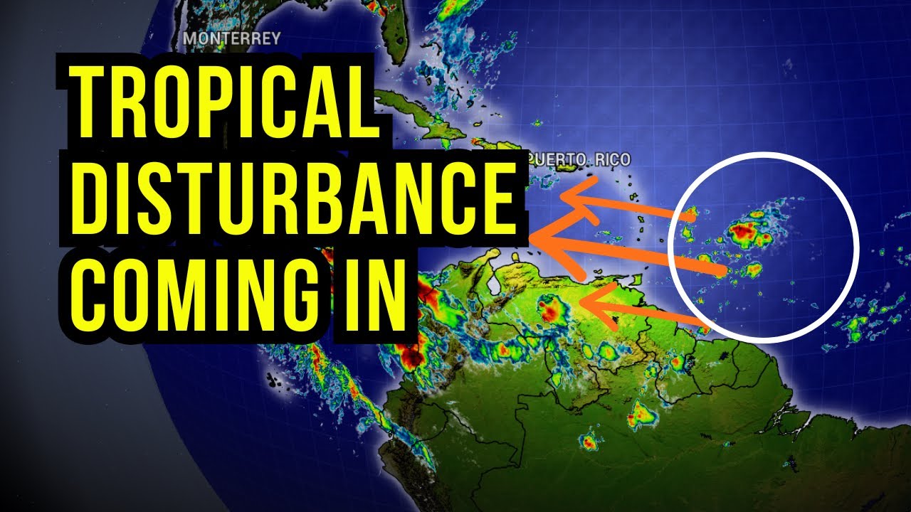 Tropical Disturbance coming to the Caribbean... - THE MIAMI METROPOLIS