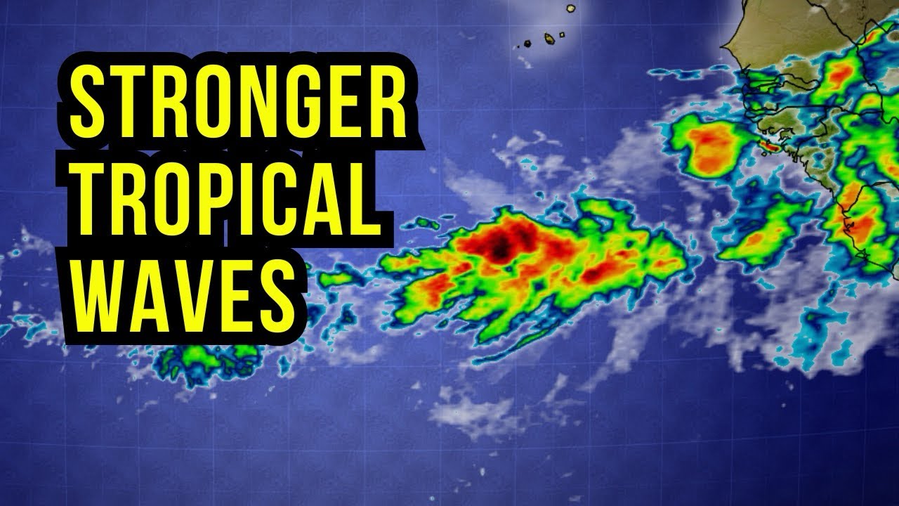 Tropical Waves to Watch... - THE MIAMI METROPOLIS